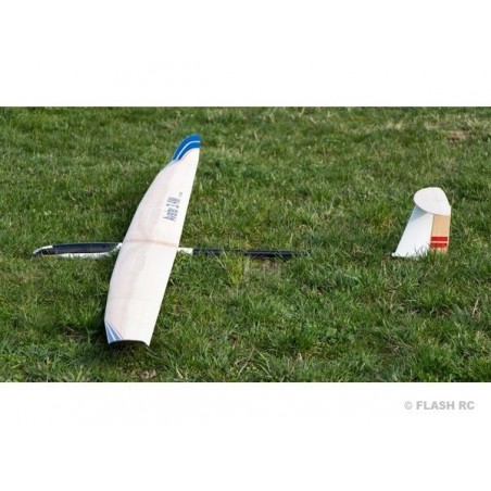 RC Motorgliders - Avatar F5J approx.3.40m Art Hobby (flaps & AF) - FLASH RC