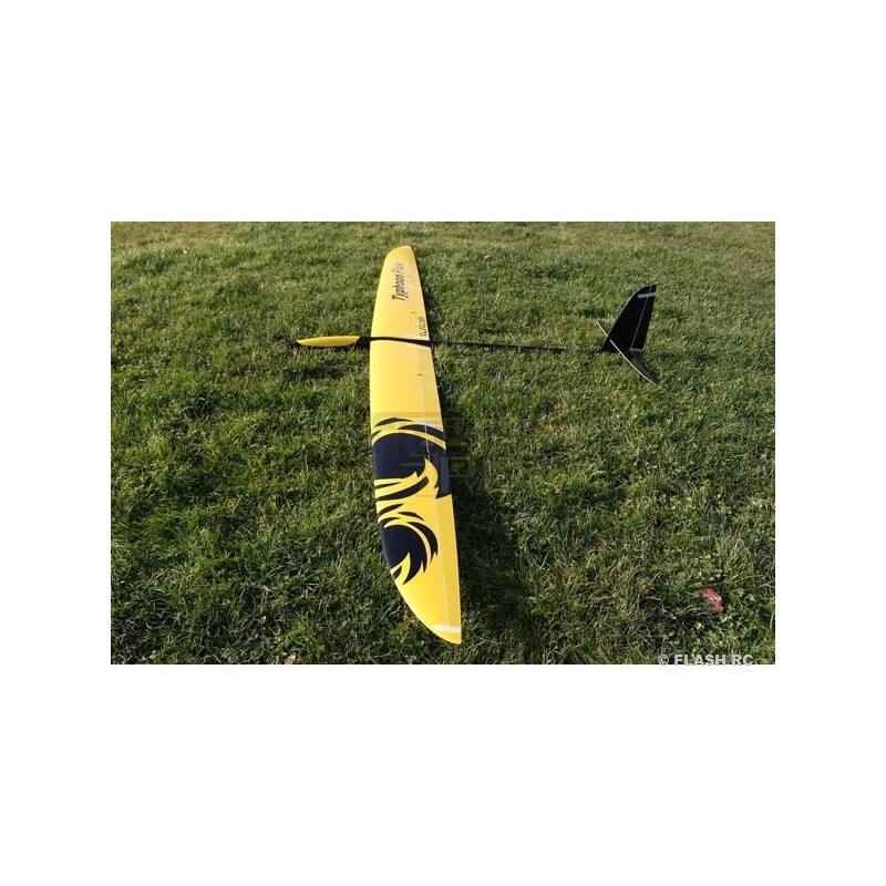 RC Gliders - Typhoon PLUS all fiber approx.2.90m yellow/black & white ...
