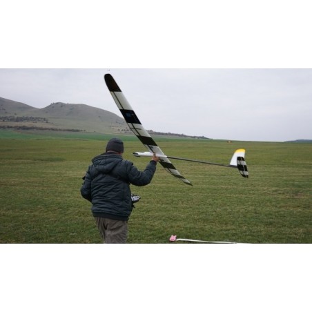 RC Motorgliders - TILIA 25 Plus (F5J-400) approx. 2.5m - RC FLASH