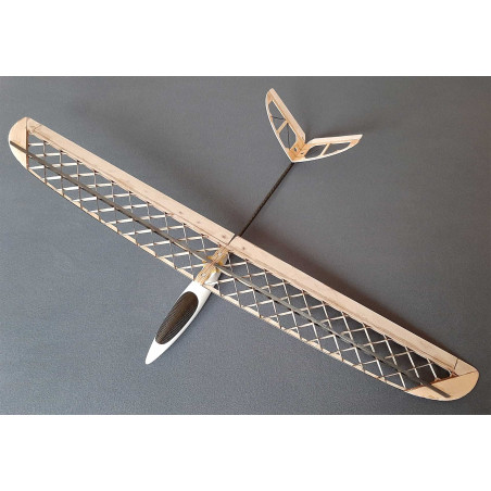 RC Glider - Kit to build Motorglider/Robbe Boo Slope glider approx. 0 ...