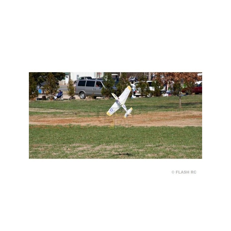 Warbirds RC - Hacker plane model P51-D Mustang contrary mary ARF approx ...