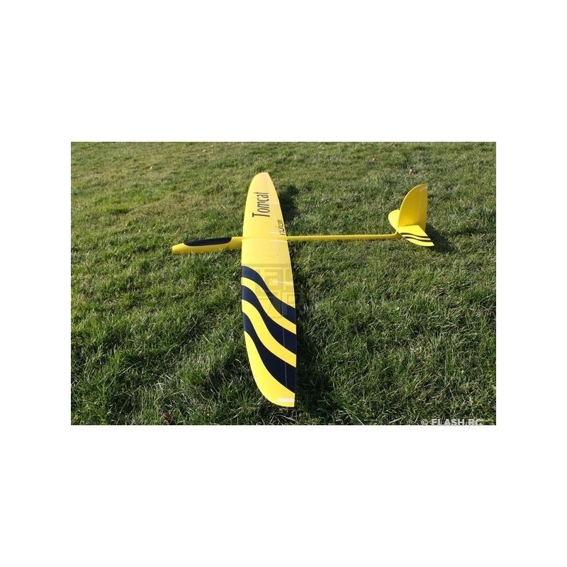 RC Motorgliders - E-Tomcat Full carbon 2.60m yellow & black RCRCM ...