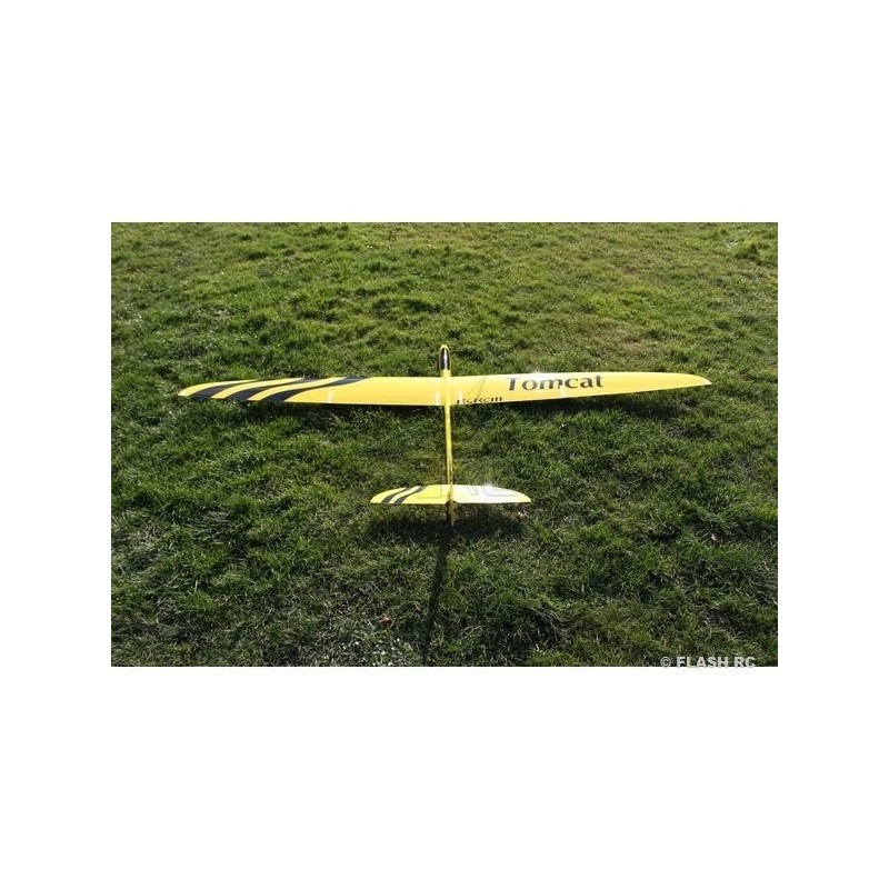 RC Motorgliders - E-Tomcat Full carbon 2.60m yellow & black RCRCM ...