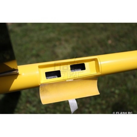 Motoveleros RC - E-Strega Full Carbon 2.90m amarillo y negro RCRCM ...