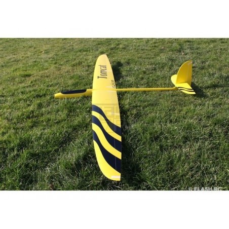 RC Gliders - Tomcat all fiber approx.2.60m yellow & black RCRCM - FLASH RC
